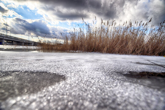 Widawa Images – Browse 45 Stock Photos, Vectors, and Video | Adobe Stock