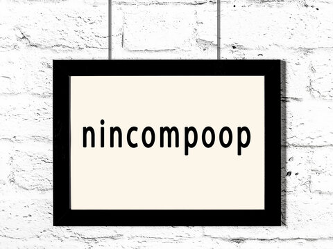 รูปภาพNincompoop – เลือกดูภาพถ่ายสต็อก เวกเตอร์ และวิดีโอ12,415 | Adobe ...
