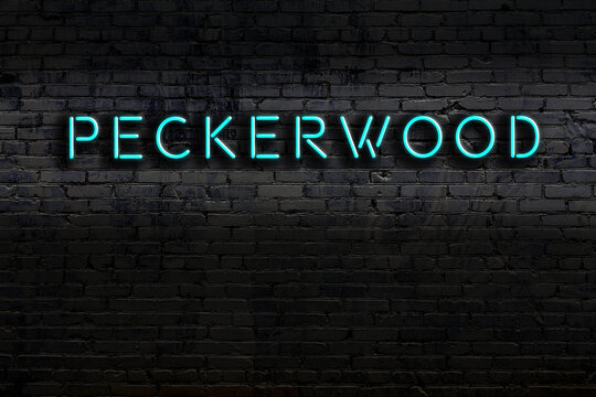 「Peckerwood」の写真素材 | 82件の無料イラスト画像 | Adobe Stock