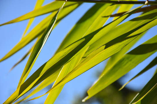 รูปภาพGreengrass – เลือกดูภาพถ่ายสต็อก เวกเตอร์ และวิดีโอ2,691 | Adobe ...