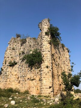 「Sinap」の写真素材 | 6件の無料イラスト画像 | Adobe Stock