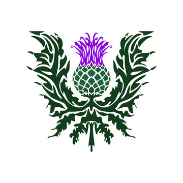 Scottish Thistle Logo