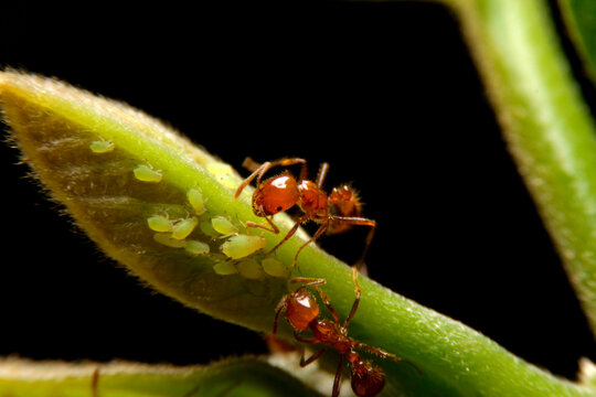 รูปภาพGaster – เลือกดูภาพถ่ายสต็อก เวกเตอร์ และวิดีโอ3,034 | Adobe Stock