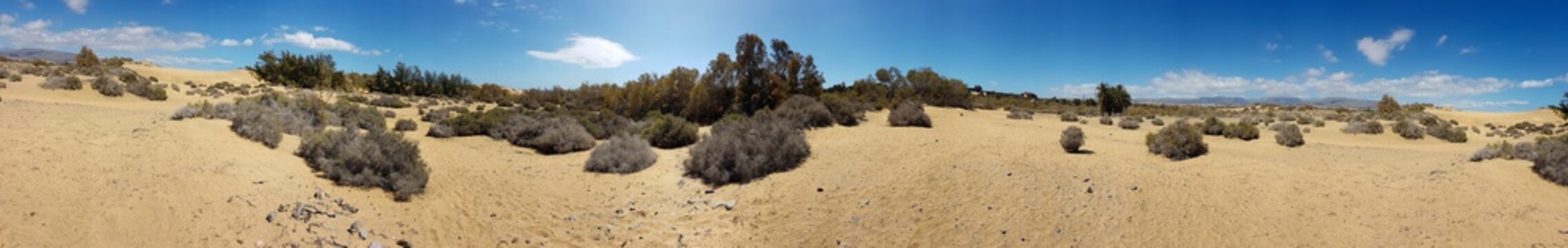 Imágenes de Estepicursor: descubre bancos de fotos, ilustraciones ...