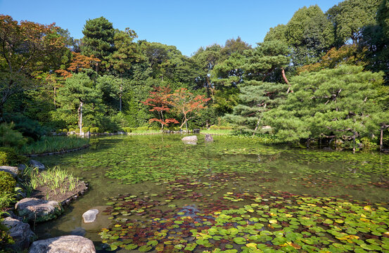 Shin-En Images – Browse 28 Stock Photos, Vectors, and Video | Adobe Stock