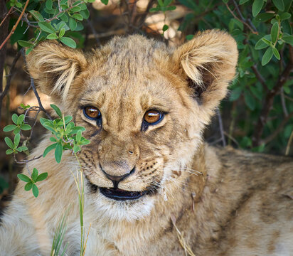 Foto, immagini, risorse di lucaar | Adobe Stock