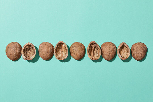 Open Nutshell Bilder – Durchsuchen 41,414 Archivfotos, Vektorgrafiken ...