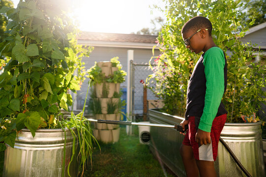LAS 29,401,648 MEJORES IMÁGENES, FOTOS DE ARCHIVO Y VECTORES DE Riego ...