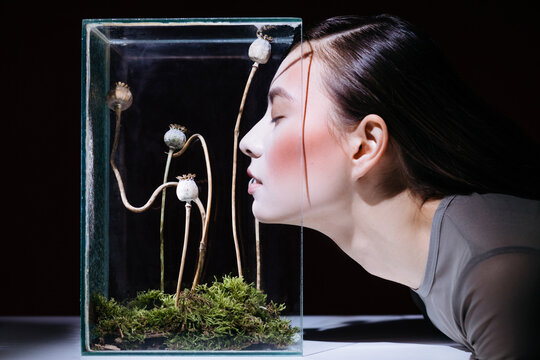 Morfine-Bilder: Stock-Fotos & -Videos. | Adobe Stock