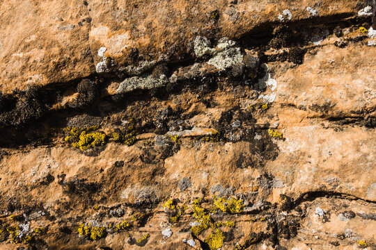 Trail Texture Bilder – Durchsuchen 208,239 Archivfotos, Vektorgrafiken ...