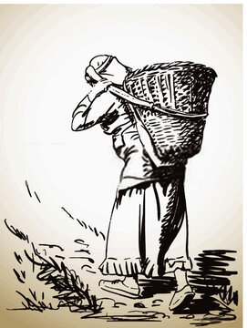 Doko 이미지 – 찾아보기 250 스톡 사진, 벡터 및 비디오 | Adobe Stock