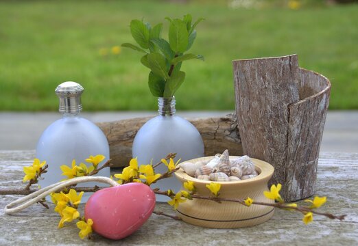 Zénitude Images – Parcourir 664 le catalogue de photos, vecteurs et ...