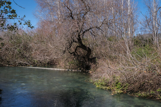 รูปภาพPanias – เลือกดูภาพถ่ายสต็อก เวกเตอร์ และวิดีโอ1,215 | Adobe Stock