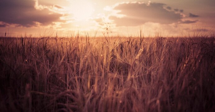 LAS 2,785,780 MEJORES IMÁGENES, FOTOS DE ARCHIVO Y VECTORES DE ...