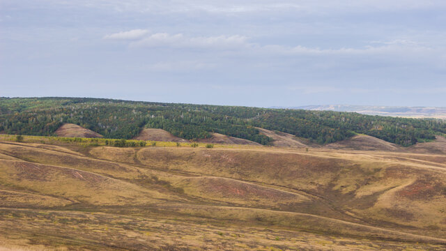 "Russian Plain" Images – Browse 31 Stock Photos, Vectors, and Video ...