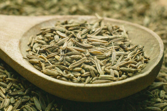 Cominos Images – Browse 48 Stock Photos, Vectors, and Video | Adobe Stock