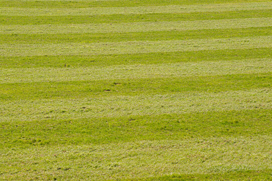 「Tondu」の写真素材 | 248件の無料イラスト画像 | Adobe Stock