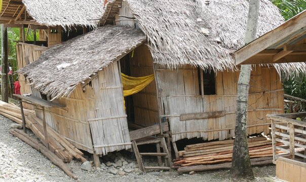 "Nipa House" Images – Parcourir 3 le catalogue de photos, vecteurs et vidéos | Adobe Stock