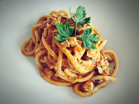 Pici Bilder – Durchsuchen 617 Archivfotos, Vektorgrafiken und Videos ...