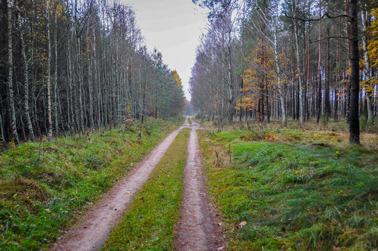 Dukt Images – Parcourir 195 le catalogue de photos, vecteurs et vidéos ...
