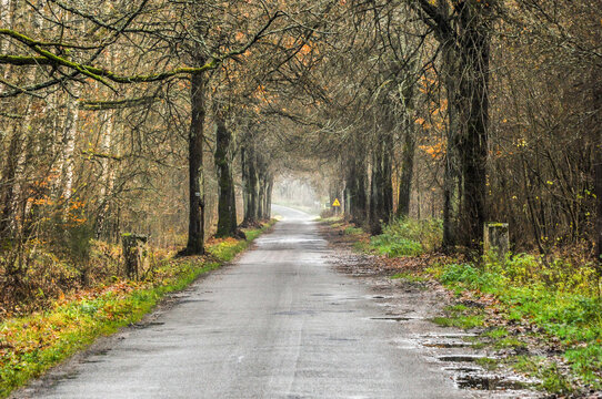 「Dukt」の写真素材 | 234件の無料イラスト画像 | Adobe Stock