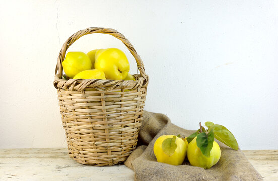 Pannier Images – Parcourir 3,992 le catalogue de photos, vecteurs et ...