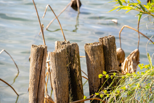 Imagens de Aggancio – Explore Fotografias do Stock, Vetores e Vídeos de ...