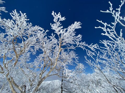 "Soft Rime" Images – Browse 17,291 Stock Photos, Vectors, and Video ...