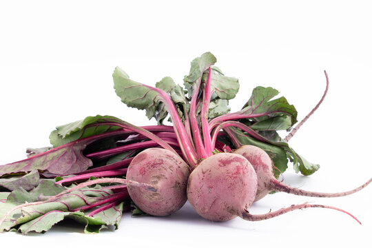 Chukandar Images – Browse 136 Stock Photos, Vectors, and Video | Adobe ...