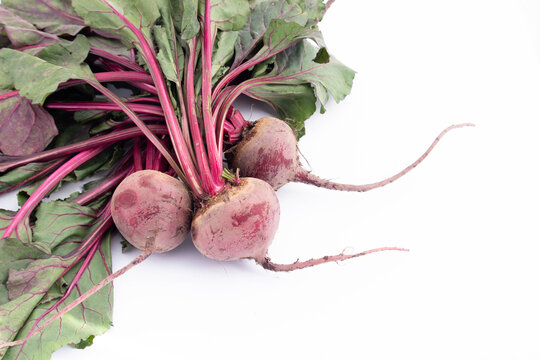 Chukandar Images – Browse 127 Stock Photos, Vectors, and Video | Adobe ...