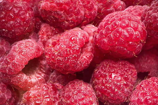 "Raspberry Background" Images – Browse 304 Stock Photos, Vectors, and ...