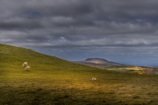 Ballygalley Images – Browse 60 Stock Photos, Vectors, and Video | Adobe ...