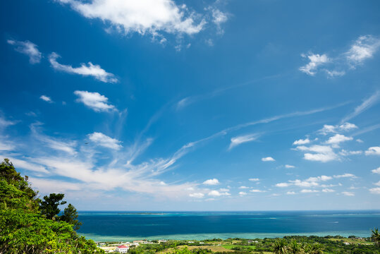 Barasu Images – Browse 29 Stock Photos, Vectors, and Video | Adobe Stock