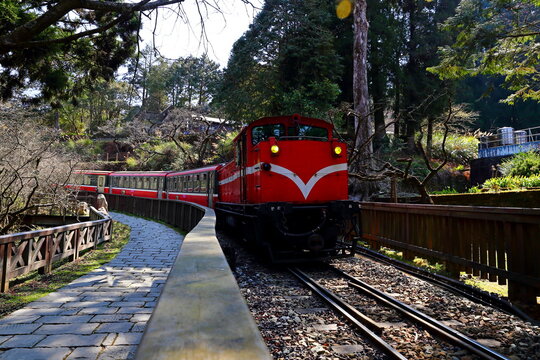 รูปภาพChaoping – เลือกดูภาพถ่ายสต็อก เวกเตอร์ และวิดีโอ97 | Adobe Stock