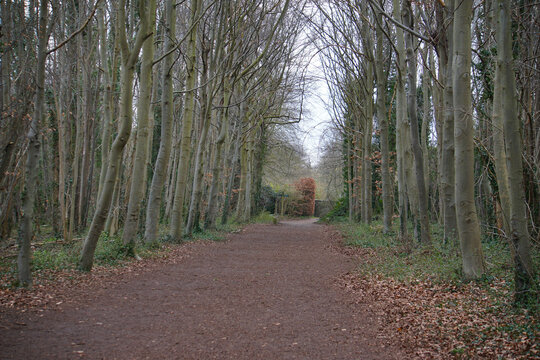 "Roman Road" Images – Browse 2,559 Stock Photos, Vectors, and Video ...