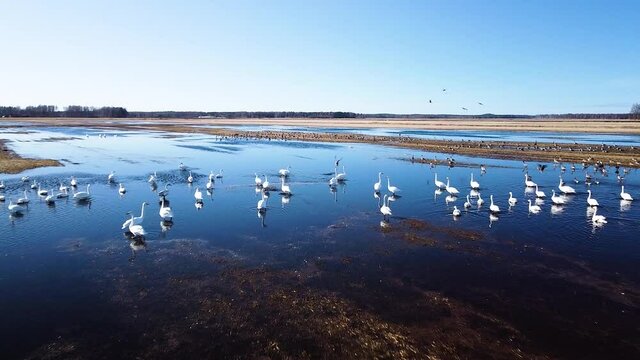 Transmigration Images – Browse 366 Stock Photos, Vectors, and Video ...