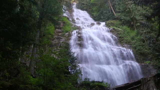 Rosedale Images – Browse 419 Stock Photos, Vectors, and Video | Adobe Stock