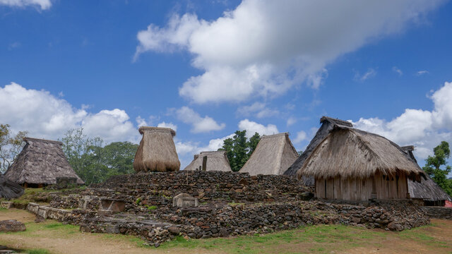 รูปภาพLio – เลือกดูภาพถ่ายสต็อก เวกเตอร์ และวิดีโอ806 | Adobe Stock