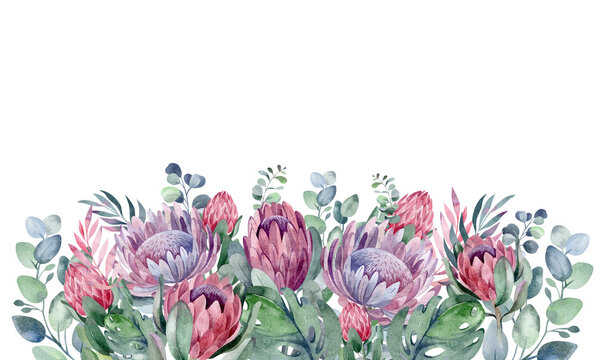 Protea Background Images – Parcourir 15,379 le catalogue de photos ...