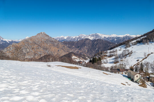 รูปภาพGrigna – เลือกดูภาพถ่ายสต็อก เวกเตอร์ และวิดีโอ1,278 | Adobe Stock