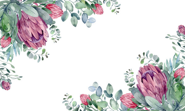 Protea White Background Images – Browse 6,357 Stock Photos, Vectors ...