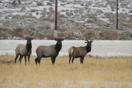 รูปภาพTuling – เลือกดูภาพถ่ายสต็อก เวกเตอร์ และวิดีโอ3,015 | Adobe Stock
