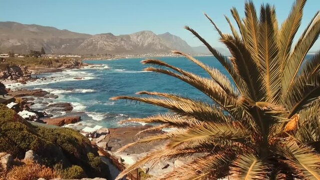 Hermanus bilder – Bla gjennom 4,291 arkivbilder, vektorer og videoer ...