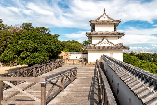 รูปภาพAkashi – เลือกดูภาพถ่ายสต็อก เวกเตอร์ และวิดีโอ4,287 | Adobe Stock