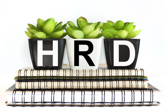 รูปภาพHrd – เลือกดูภาพถ่ายสต็อก เวกเตอร์ และวิดีโอ1,386 | Adobe Stock