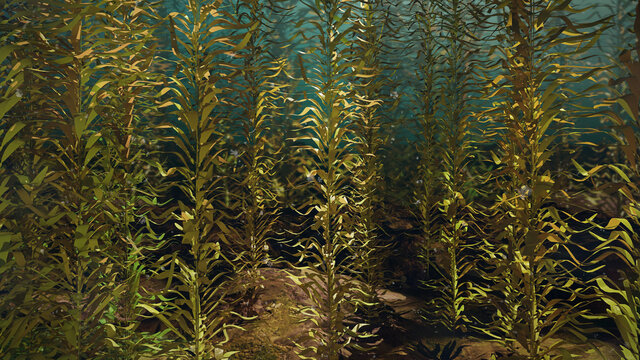 Laminariales Bilder – Durchsuchen 48,236 Archivfotos, Vektorgrafiken ...