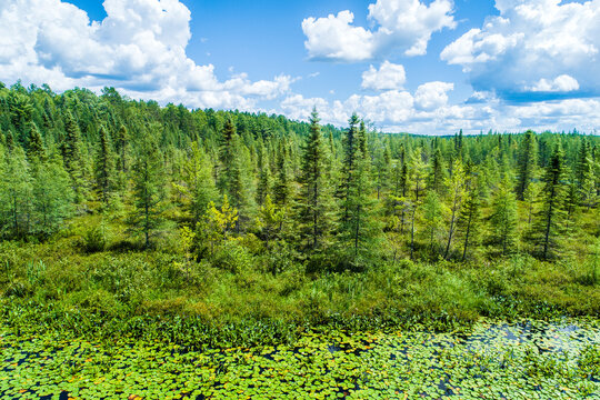 "Northern Wisconsin" Images – Browse 158 Stock Photos, Vectors, and ...