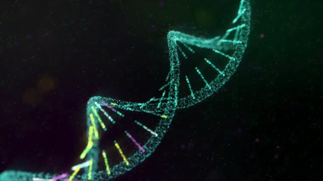 Polynucleotide Images – Browse 655 Stock Photos, Vectors, and Video ...