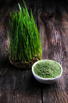 Wheatgrass Images – Browse 16,073 Stock Photos, Vectors, and Video ...