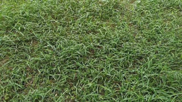 รูปภาพArugampul – เลือกดูภาพถ่ายสต็อก เวกเตอร์ และวิดีโอ36 | Adobe Stock